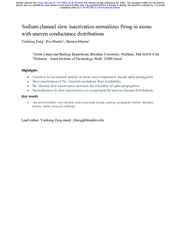 (PDF) Sodium channel slow inactivation normalizes firing in axons with ...