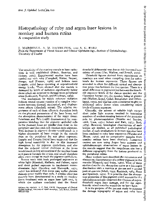 (PDF) Histopathology of ruby and argon laser lesions in monkey and ...