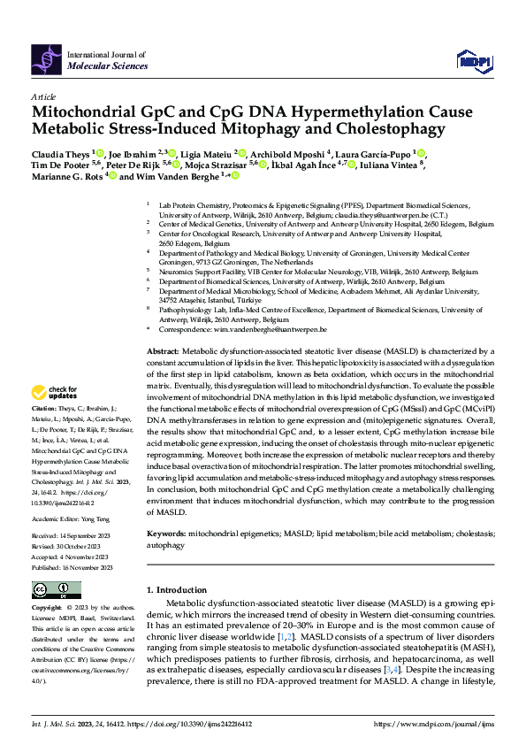 (PDF) Mitochondrial GpC and CpG DNA Hypermethylation Cause Metabolic ...