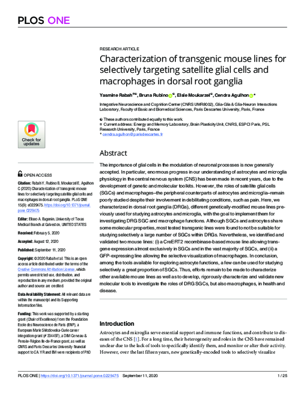 (PDF) Characterization of transgenic mouse lines for selectively ...