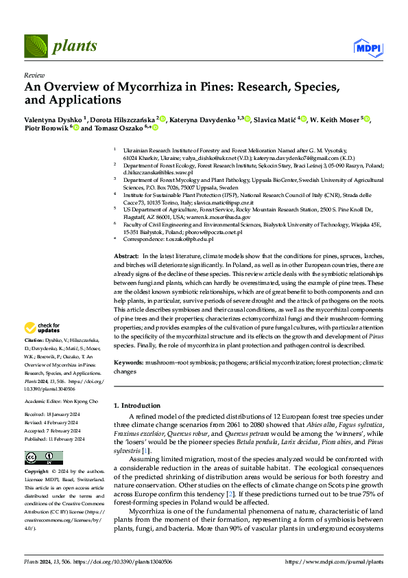 (PDF) An Overview of Mycorrhiza in Pines: Research, Species, and Applications