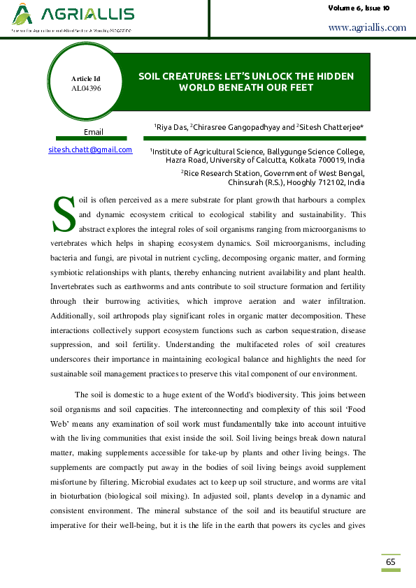 (PDF) SOIL CREATURES LET’S UNLOCK THE HIDDEN WORLD BENEATH OUR FEET ...