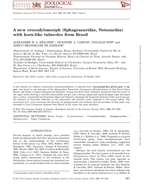 (PDF) A new crocodylomorph (Sphagesauridae, Notosuchia) with horn-like ...