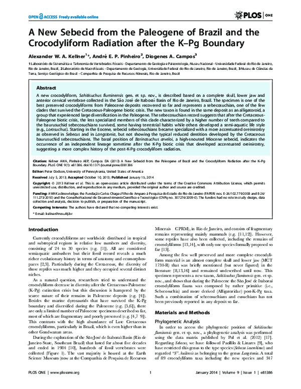 (PDF) A New Sebecid from the Paleogene of Brazil and the Crocodyliform ...