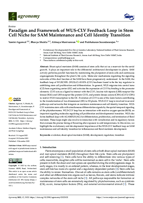 (PDF) Paradigm and Framework of WUS-CLV Feedback Loop in Stem Cell ...