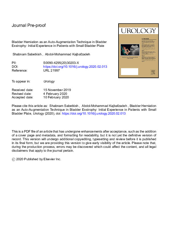 (PDF) Bladder Herniation as an Auto-Augmentation Technique in Bladder ...