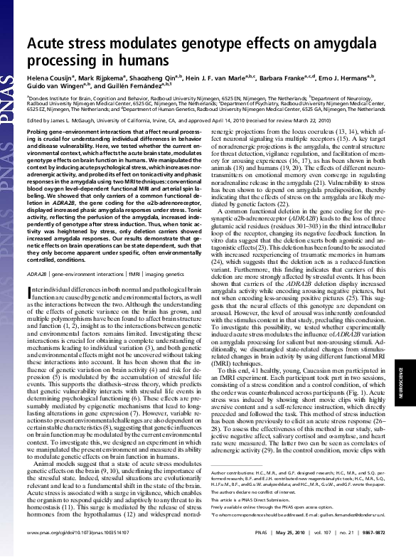 (PDF) Acute stress modulates genotype effects on amygdala processing in ...
