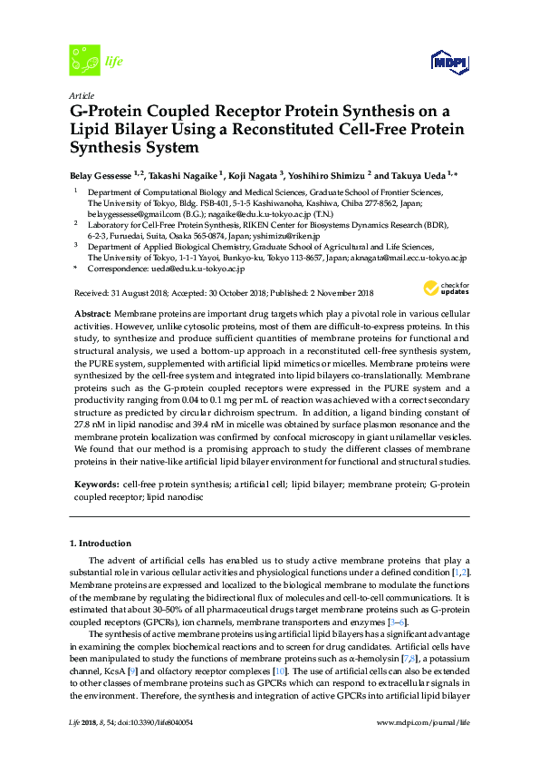 (PDF) G-Protein Coupled Receptor Protein Synthesis on a Lipid Bilayer Using a Reconstituted Cell ...