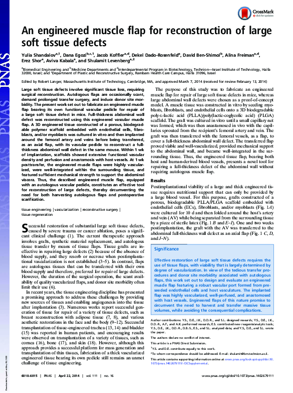 (PDF) An engineered muscle flap for reconstruction of large soft tissue ...