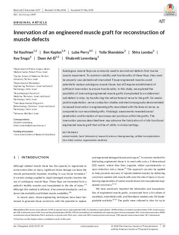(PDF) Innervation of an engineered muscle graft for reconstruction of ...