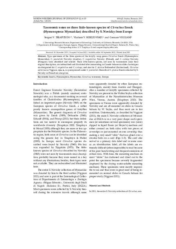 (PDF) Taxonomic notes on three little-known species of Cleruchus Enock ...