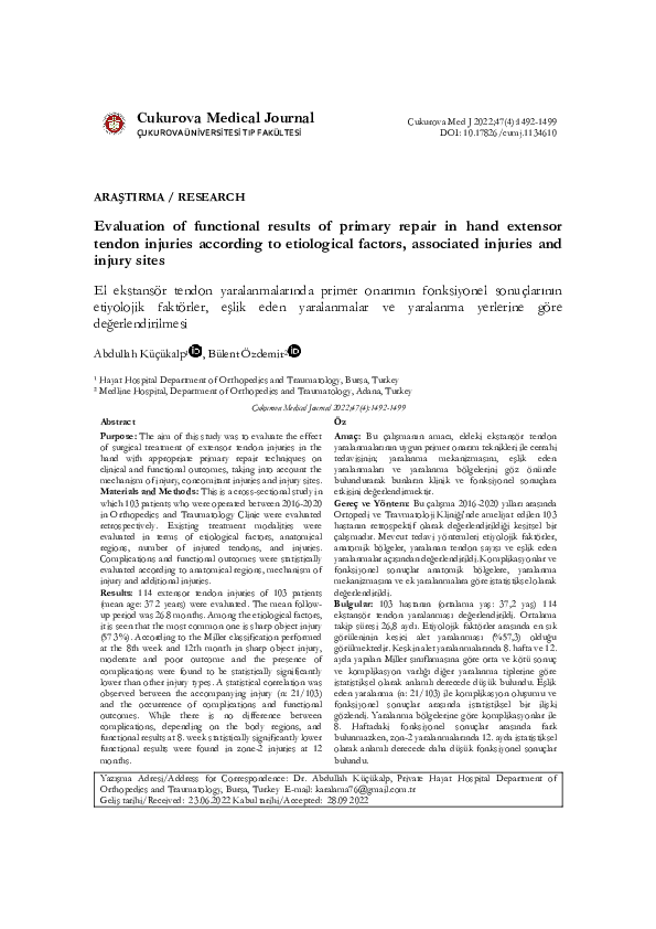 (PDF) Evaluation of functional results of primary repair in hand ...