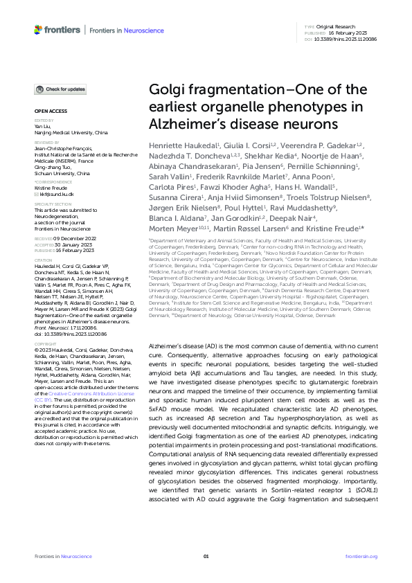(PDF) Golgi fragmentation – One of the earliest organelle phenotypes in ...