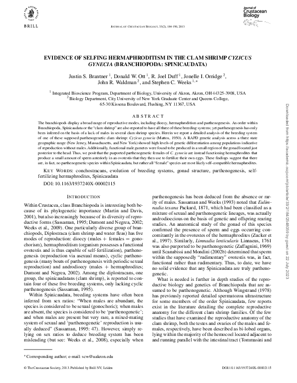 (PDF) Evidence of selfing hermaphroditism in the clam shrimp Cyzicus ...