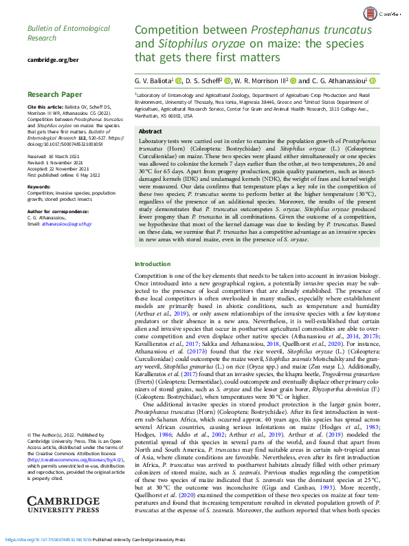 (PDF) Competition between Prostephanus truncatus and Sitophilus oryzae ...