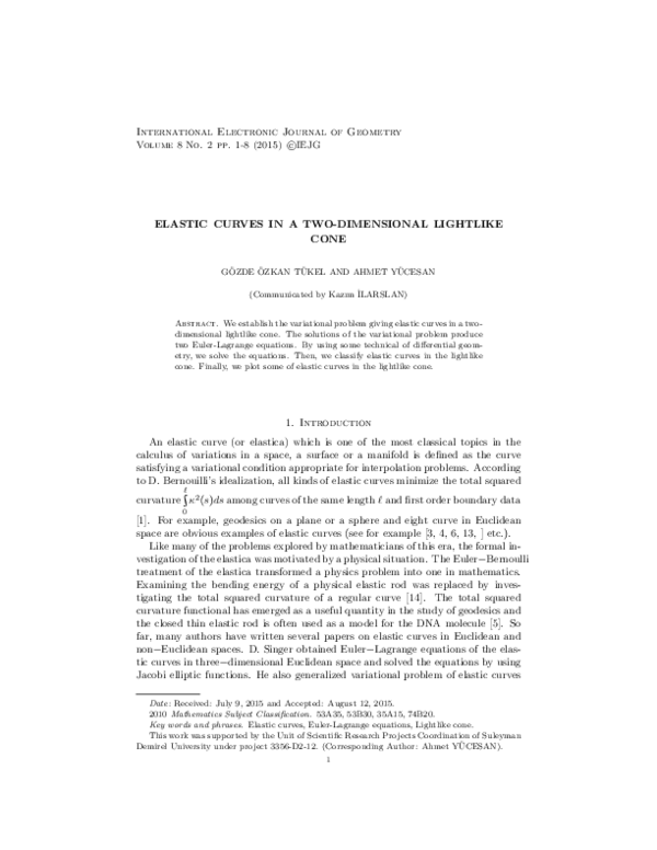 (PDF) Elastic Curves in a Two-Dimensional Lightlike Cone