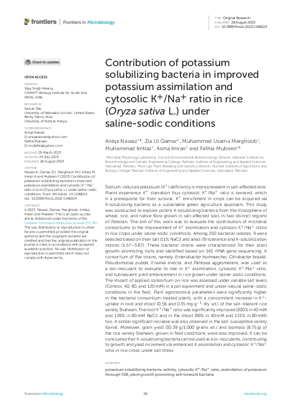 (PDF) Contribution of potassium solubilizing bacteria in improved ...