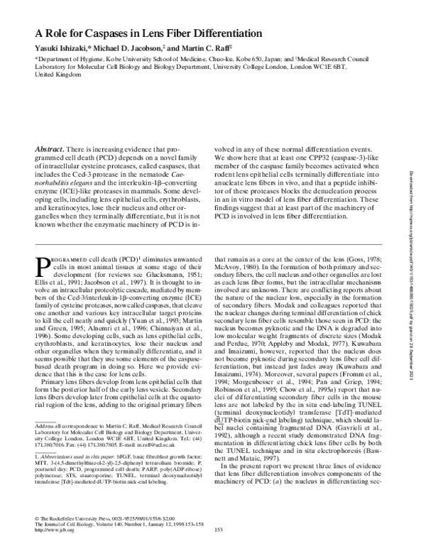 (PDF) A Role for Caspases in Lens Fiber Differentiation | Martin Raff ...