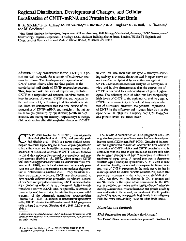 (PDF) Regional distribution, developmental changes, and cellular ...