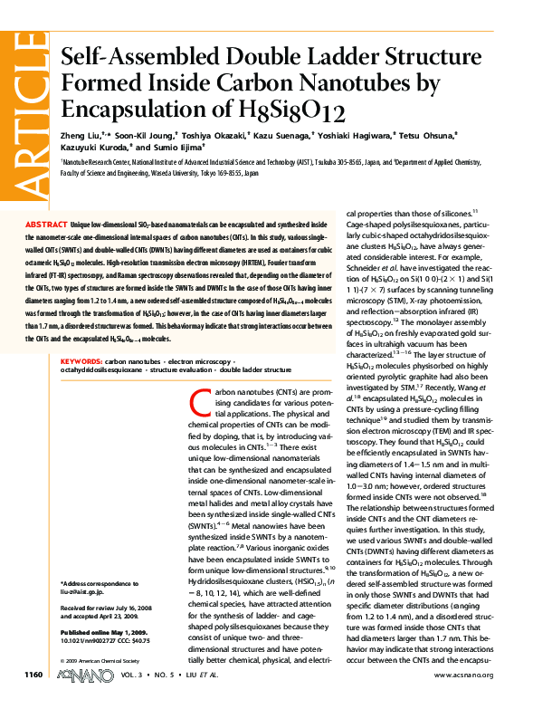 (PDF) Self-Assembled Double Ladder Structure Formed Inside Carbon ...
