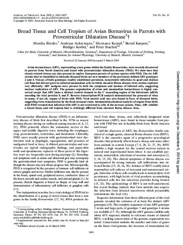 (PDF) Broad Tissue and Cell Tropism of Avian Bornavirus in Parrots with ...