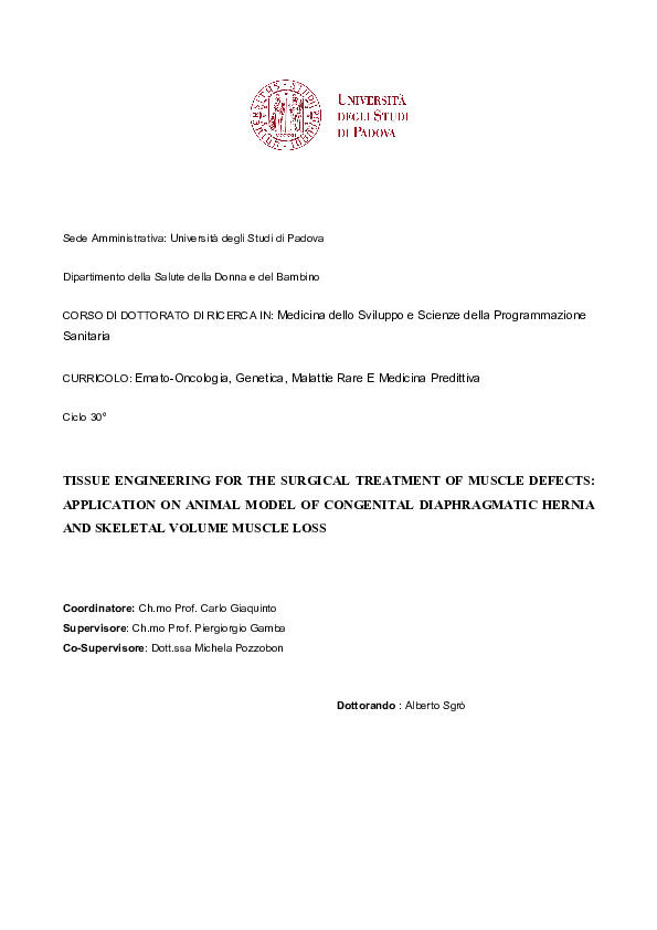 (PDF) Tissue engineering for the surgical tratment of muscle defects ...