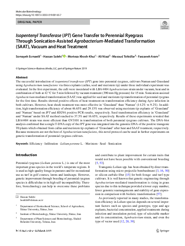 (PDF) Isopentenyl Transferase (IPT) Gene Transfer to Perennial Ryegrass ...