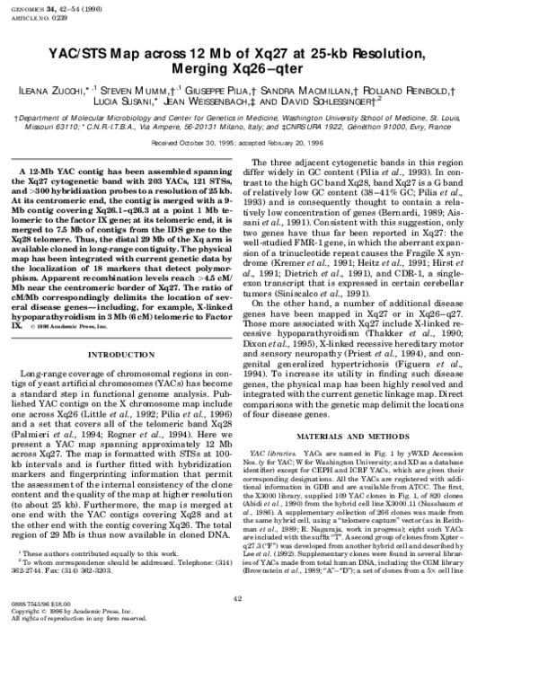 (PDF) YAC/STS Map across 12 Mb of Xq27 at 25-kb Resolution, Merging Xq26–qter