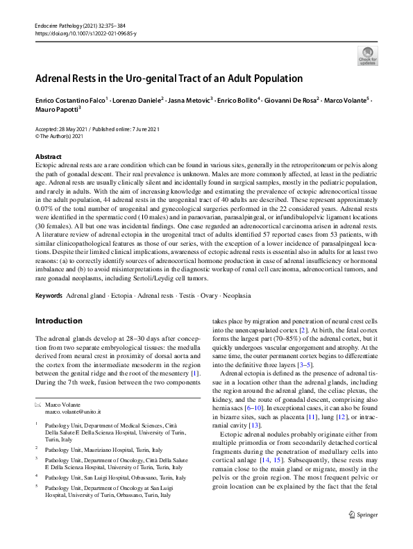 (PDF) Adrenal Rests in the Uro-genital Tract of an Adult Population