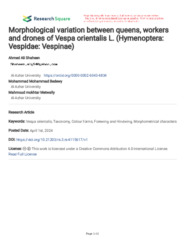 (PDF) Morphological variation between queens, workers and drones of Vespa orientalis L ...