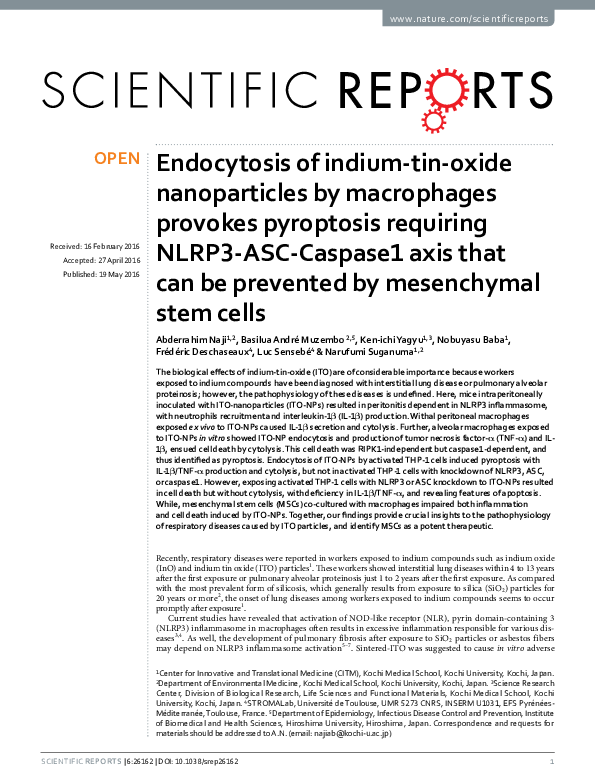 (PDF) Endocytosis of indium-tin-oxide nanoparticles by macrophages ...