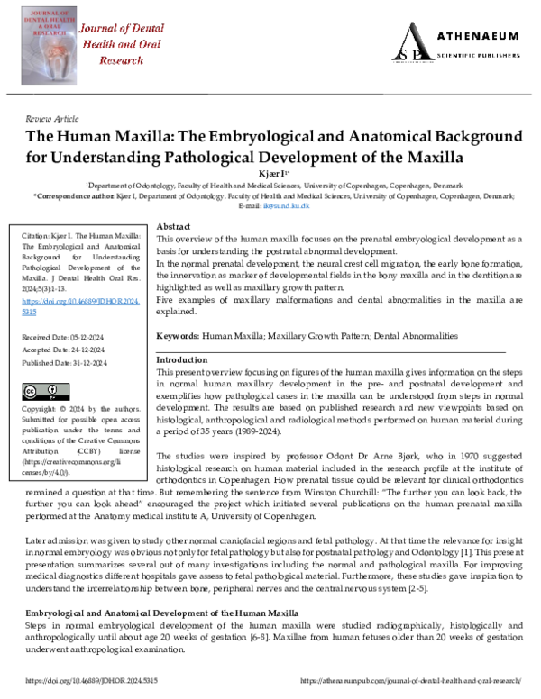 (PDF) The Human Maxilla The Embryological and Anatomical Background for ...