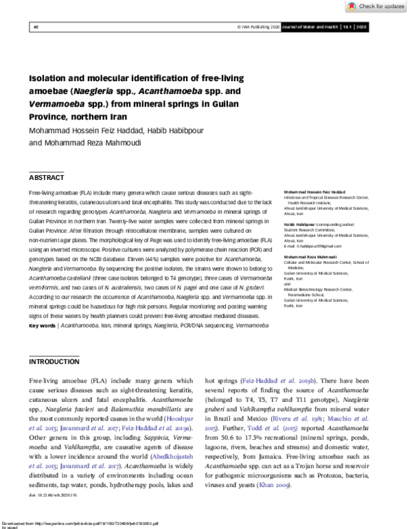 (PDF) Isolation and molecular identification of free-living amoebae ...