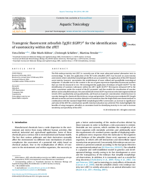 (PDF) Transgenic fluorescent zebrafish Tg(fli1:EGFP)y1 for the ...