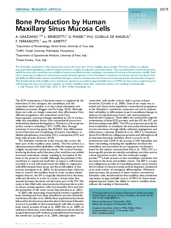 (PDF) Bone production by human maxillary sinus mucosa cells