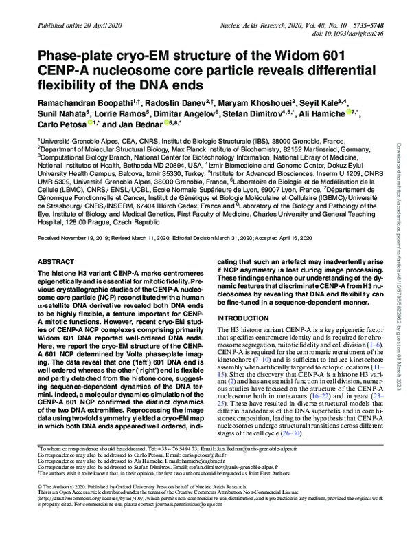 (PDF) Phase-plate cryo-EM structure of the Widom 601 CENP-A nucleosome ...