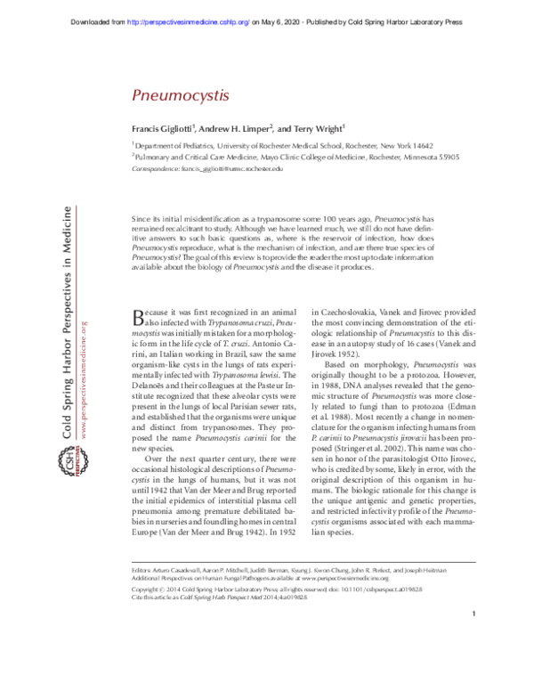 (PDF) Pneumocystis