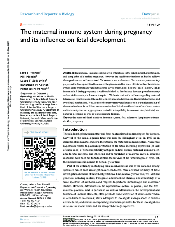 (PDF) The maternal immune system during pregnancy and its influence on ...