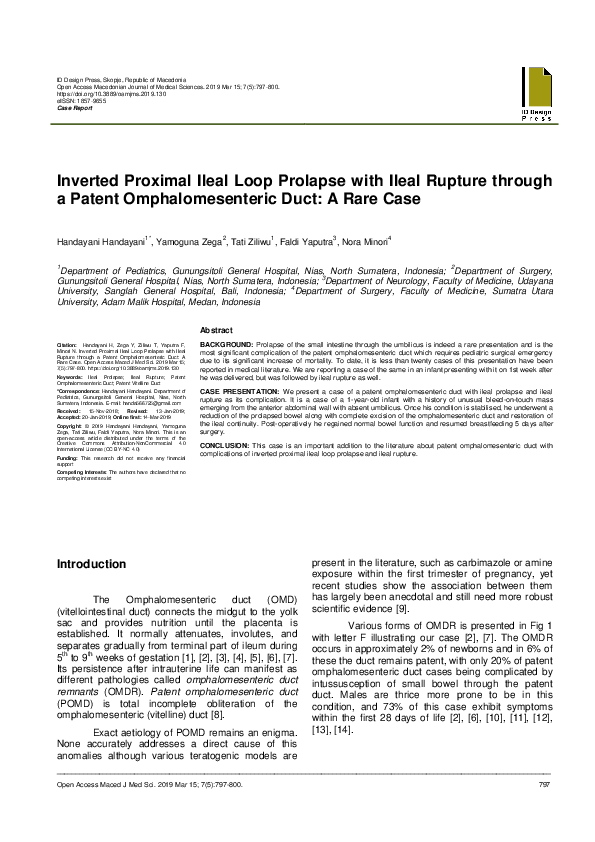 (PDF) Inverted Proximal Ileal Loop Prolapse with Ileal Rupture through ...