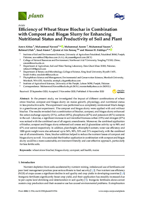 (PDF) Efficiency of Wheat Straw Biochar in Combination with Compost and ...