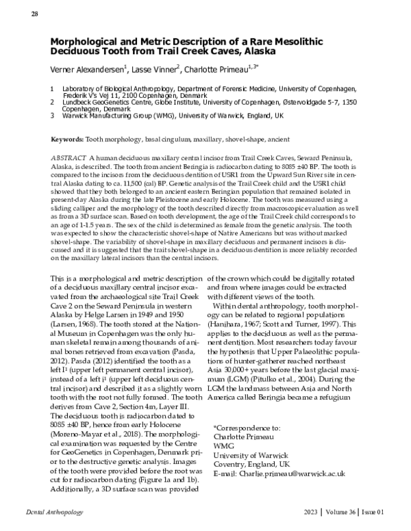 (PDF) Morphological and metric description of a rare Mesolithic ...