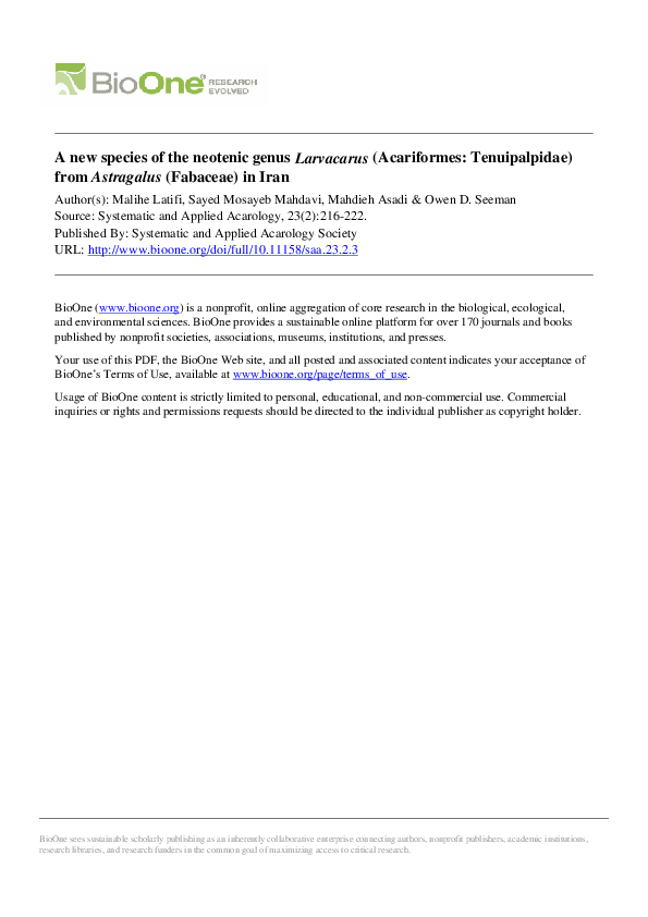 (PDF) A new species of the neotenic genus Larvacarus (Acariformes ...