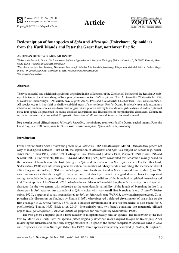 (PDF) Redescription of four species of Spio and Microspio (Polychaeta ...