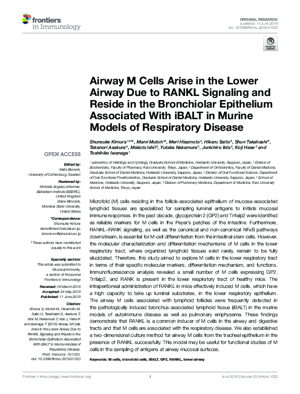 (PDF) Airway M Cells Arise in the Lower Airway Due to RANKL Signaling ...