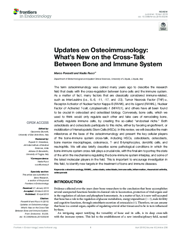 (PDF) Updates on Osteoimmunology: What's New on the Cross-Talk Between ...