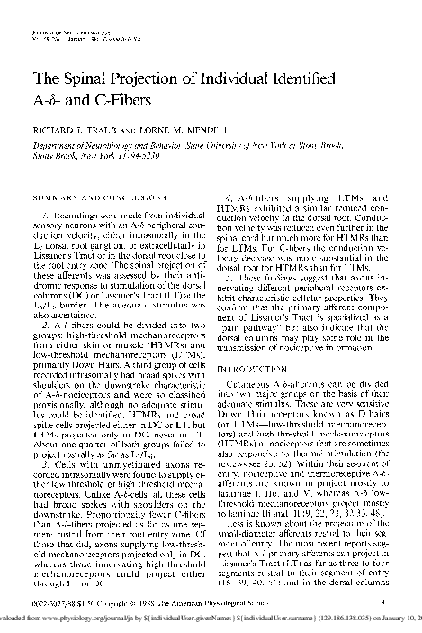 (PDF) The spinal projection of individual identified A-delta- and C ...