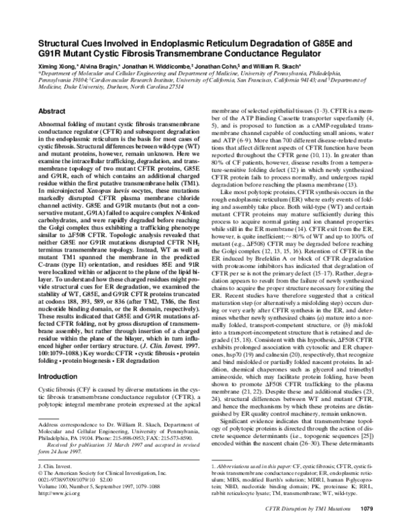 (PDF) Structural cues involved in endoplasmic reticulum degradation of ...