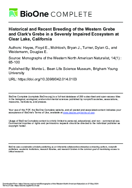 (PDF) Historical and Recent Breeding of the Western Grebe and Clark's ...