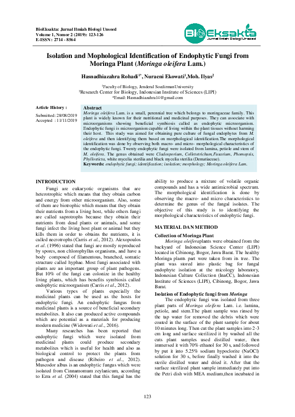 (PDF) Isolation and Mophological Identification of Endophytic Fungi from Moringa Plant (Moringa ...