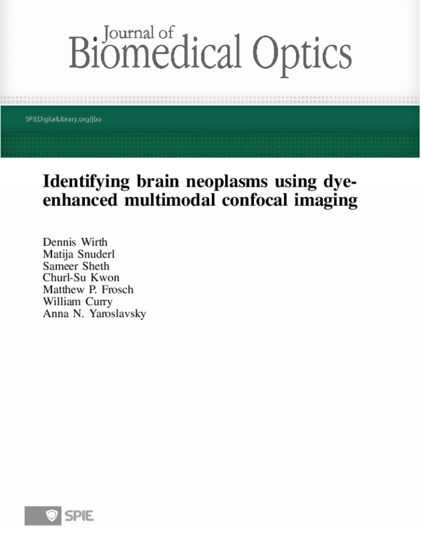(PDF) Identifying brain neoplasms using dye-enhanced multimodal ...